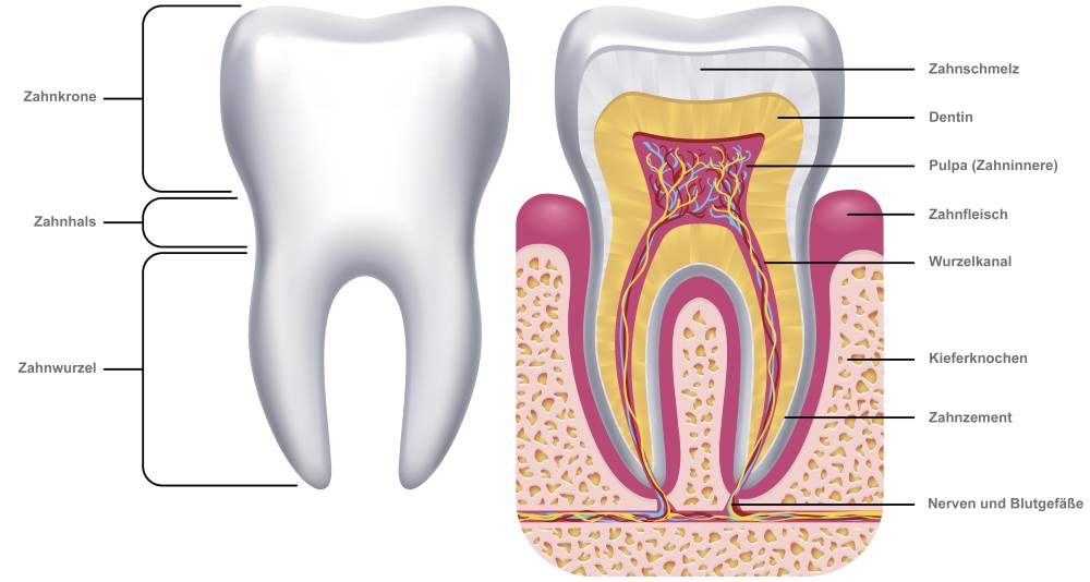 Zahnerhaltung - Endodontie - Zahnarztpraxis Dr. Köhler in Albstadt Zahnerhaltung - Endodontie - Zahnarztpraxis Dr. Köhler in Albstadt